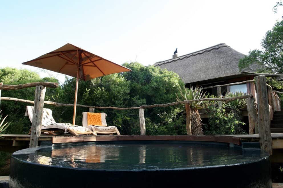 Pumba Bush Lodge Pumba Bush Lodge | Discover Africa Safaris