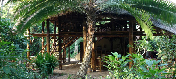 Kibale Forest Camp Kibale Forest Camp, Kibale National Park, Uganda ...