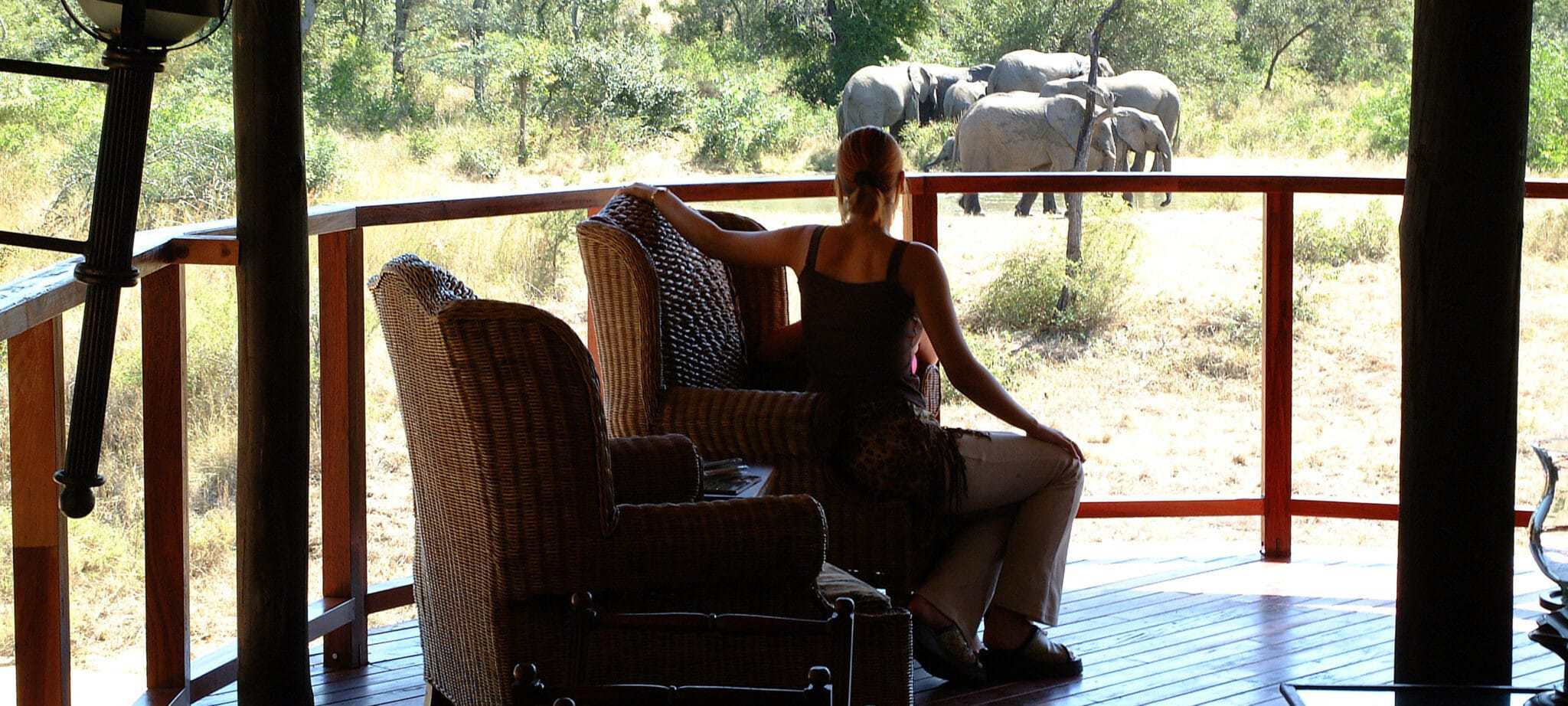 Shumbalala Game Lodge Shumbalala Game Lodge, Thornybush Game Reserve ...
