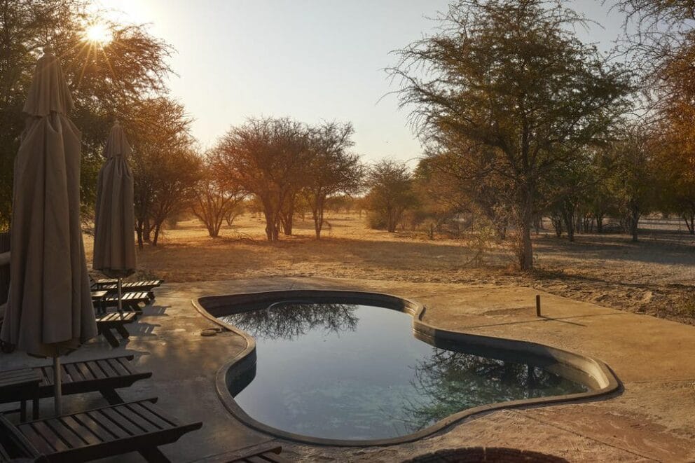 Deception Valley Lodge Deception Valley Lodge, Central Kalahari ...