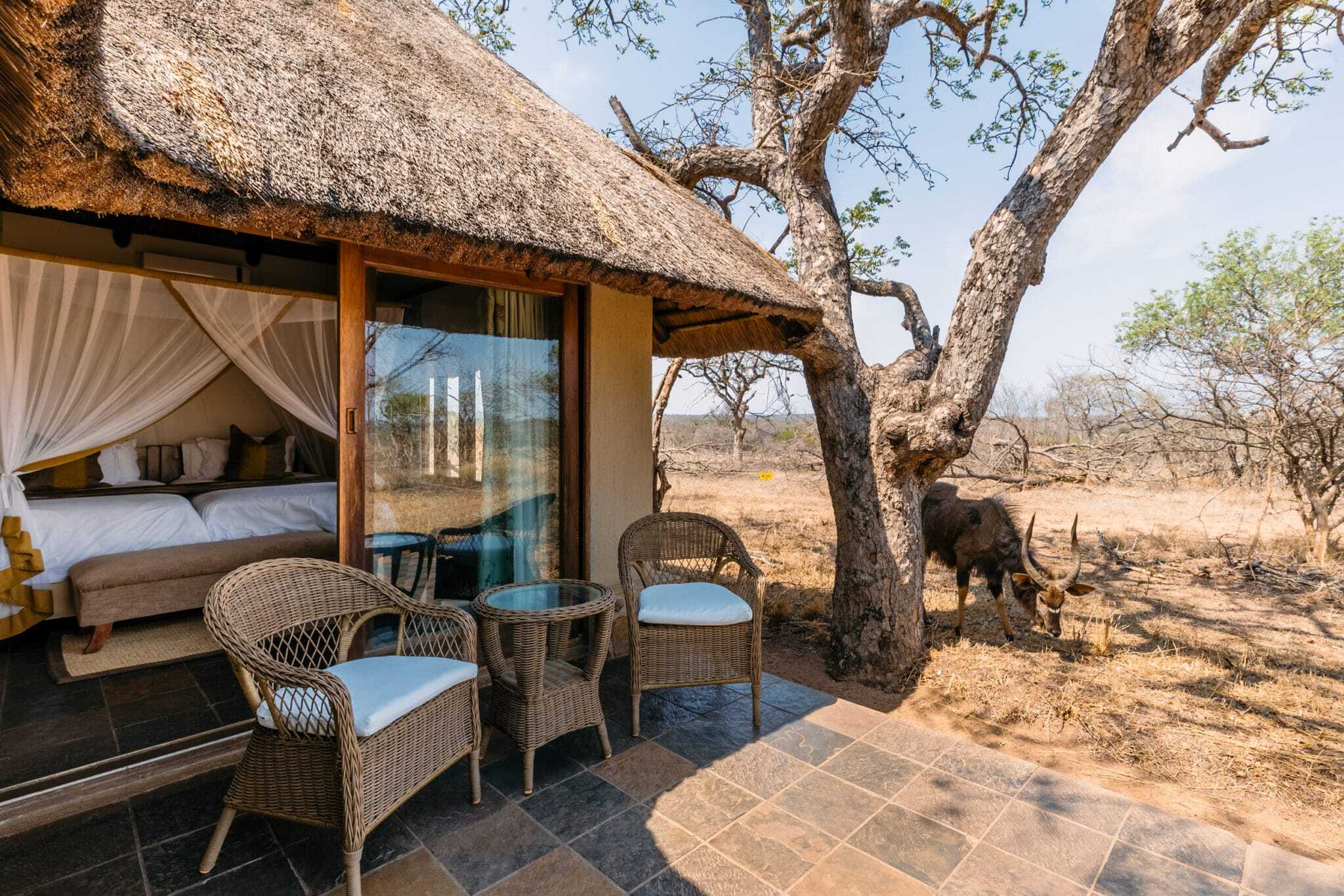 12 of the Best Luxury Kruger Park Tours | Discover Africa Safaris