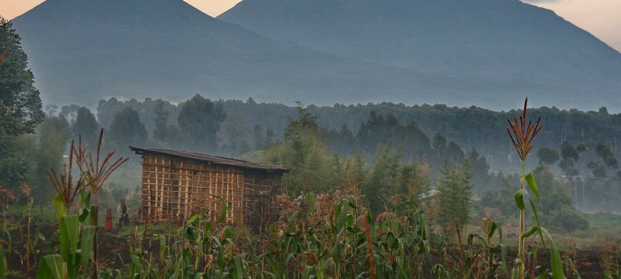 One & Only Gorilla's Nest Lodge Gorillas Nest Lodge, Musanze District ...