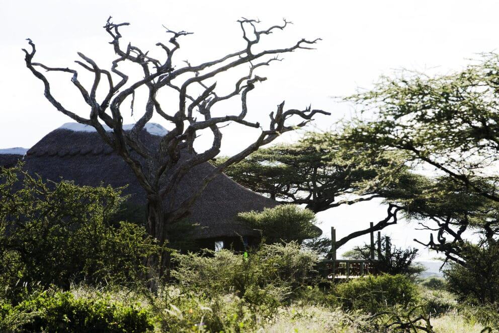 Lake Masek Luxury Tented Camp Lake Masek Luxury Tented Camp, Ndutu ...