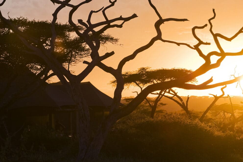 Lake Masek Luxury Tented Camp Lake Masek Luxury Tented Camp, Ndutu ...