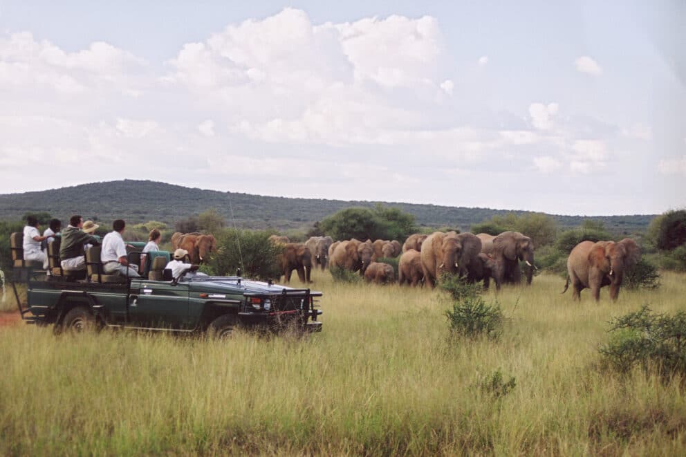 Makanyane Safari Lodge Makanyane Safari Lodge, Madikwe Game Reserve ...