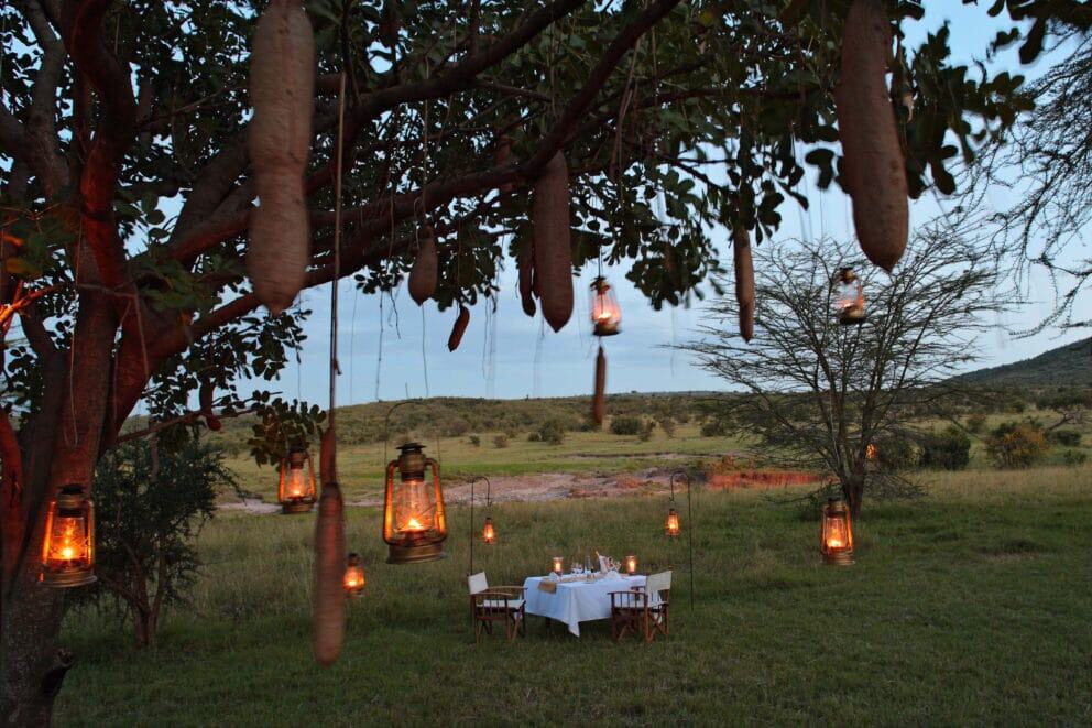 Mara Bushtops Mara Bushtops, Masai Mara, Kenya | Discover Africa Safaris