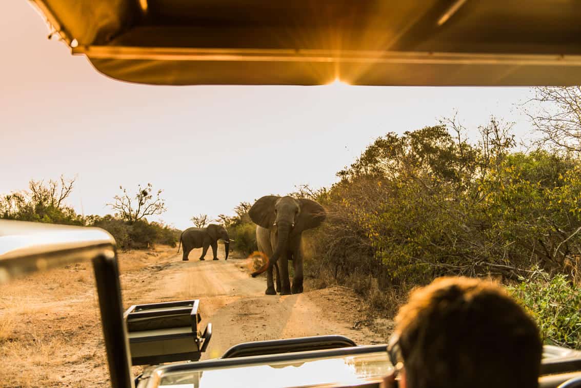 Moditlo River Lodge Moditlo River Lodge, Blue Canyon Conservancy, South ...