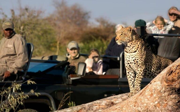 Bush & Beach Safari in Timbavati and Mozambique (9 days) – Discover Africa