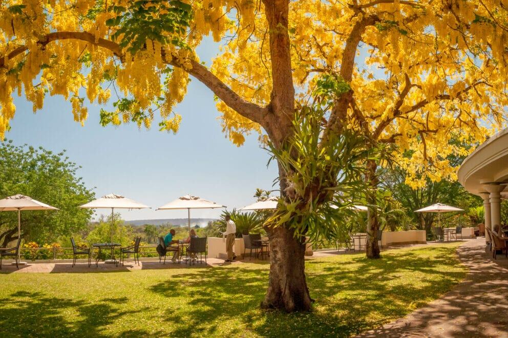 Ilala Lodge Ilala Lodge, Victoria Falls, Zimbabwe | Discover Africa Safaris