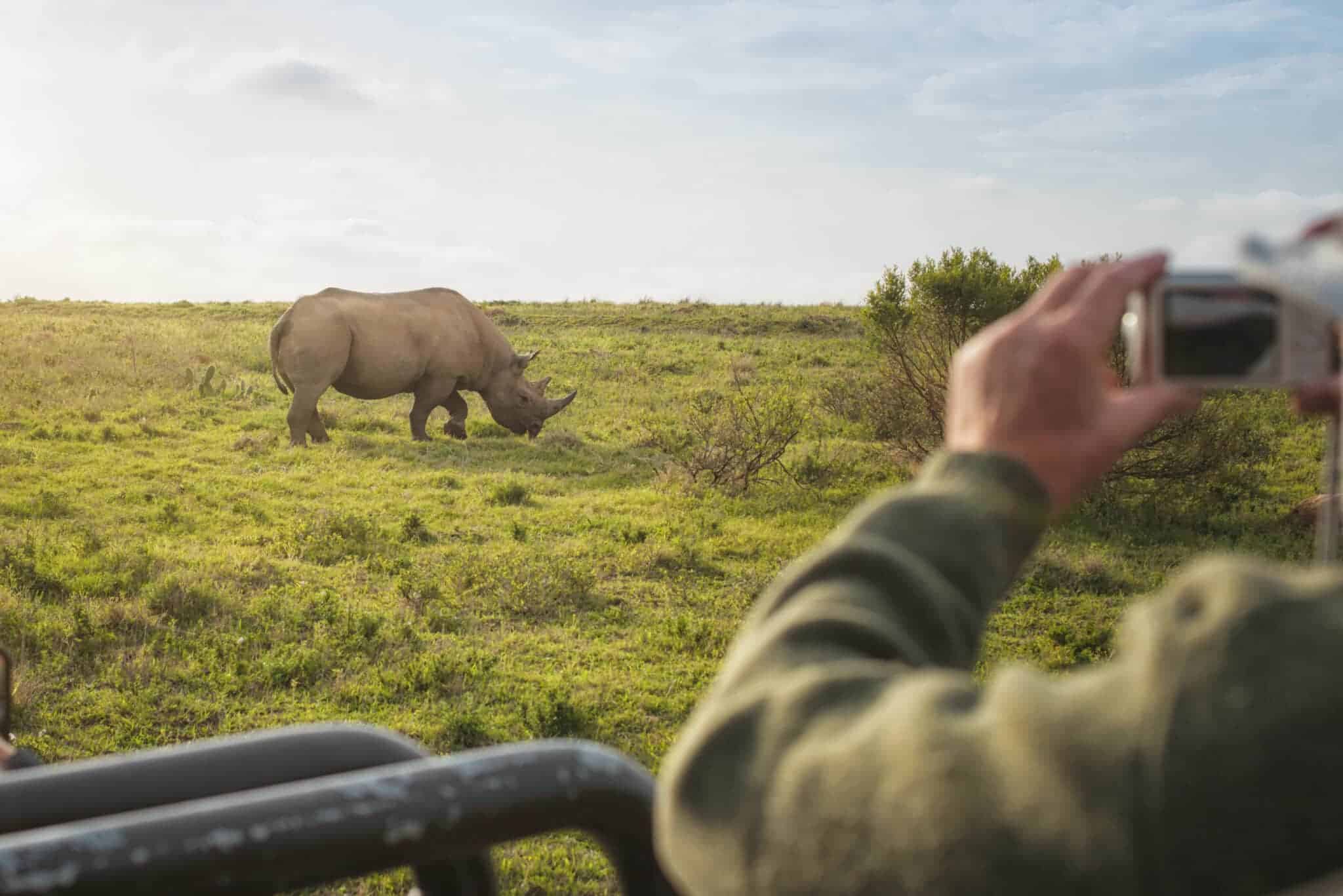 Top 5 Facts About Black Rhinos – Discover Africa