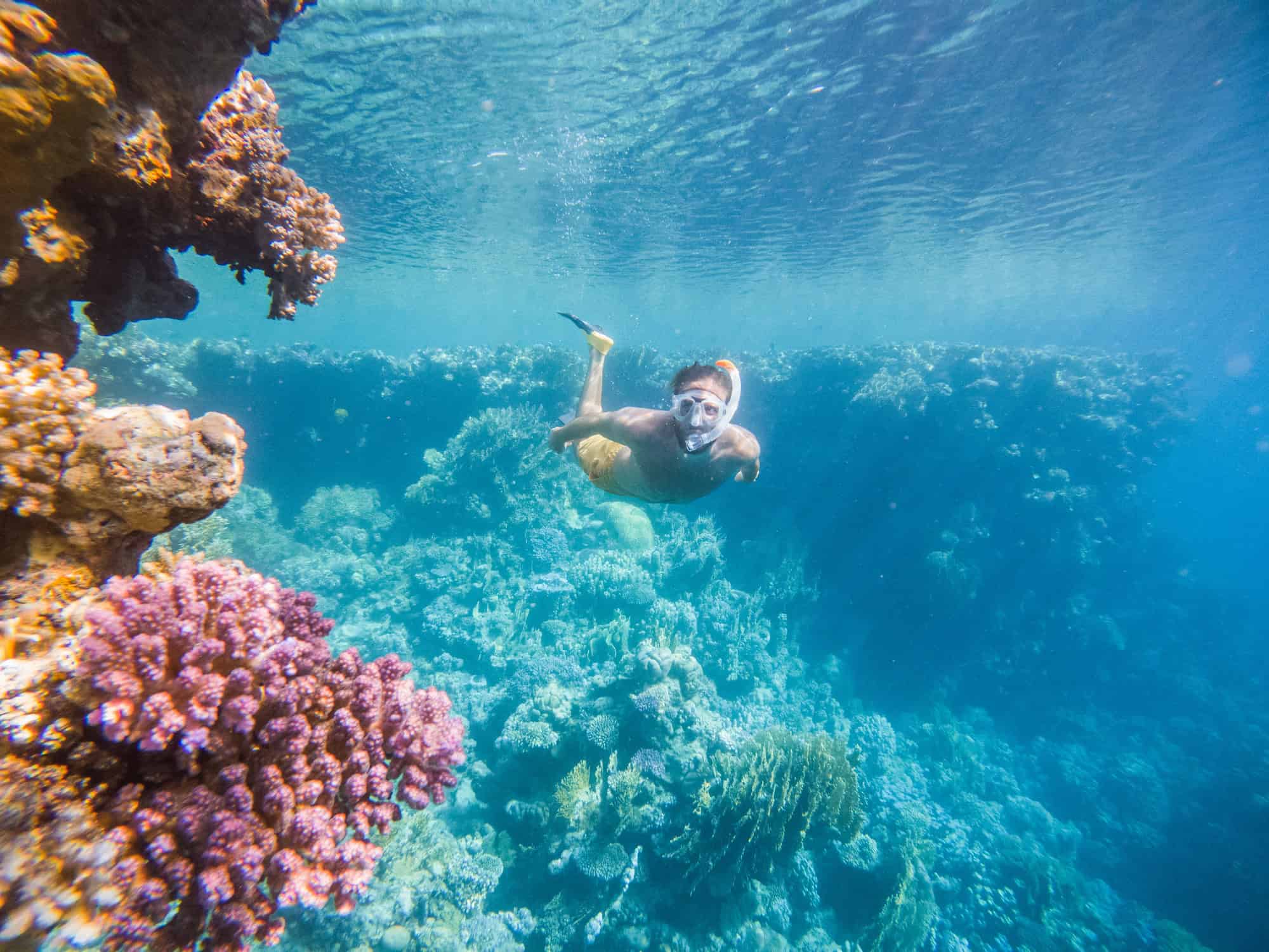 Diving & Snorkelling - East Africa - Discover Africa Safaris