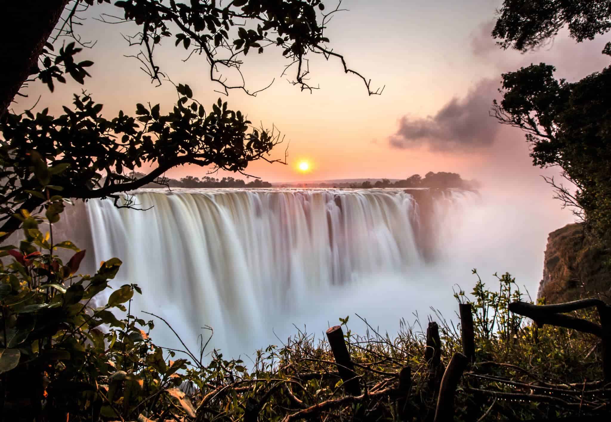 Zambia Nature