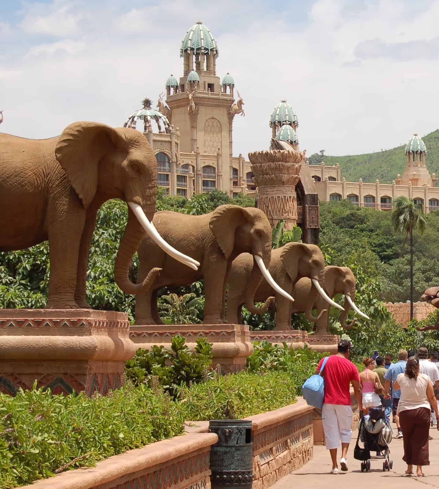 Sun City South Africa Safari _ Sun City Safari Official Site – FJCY