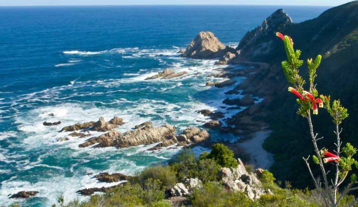 The Garden Route – Discover Africa