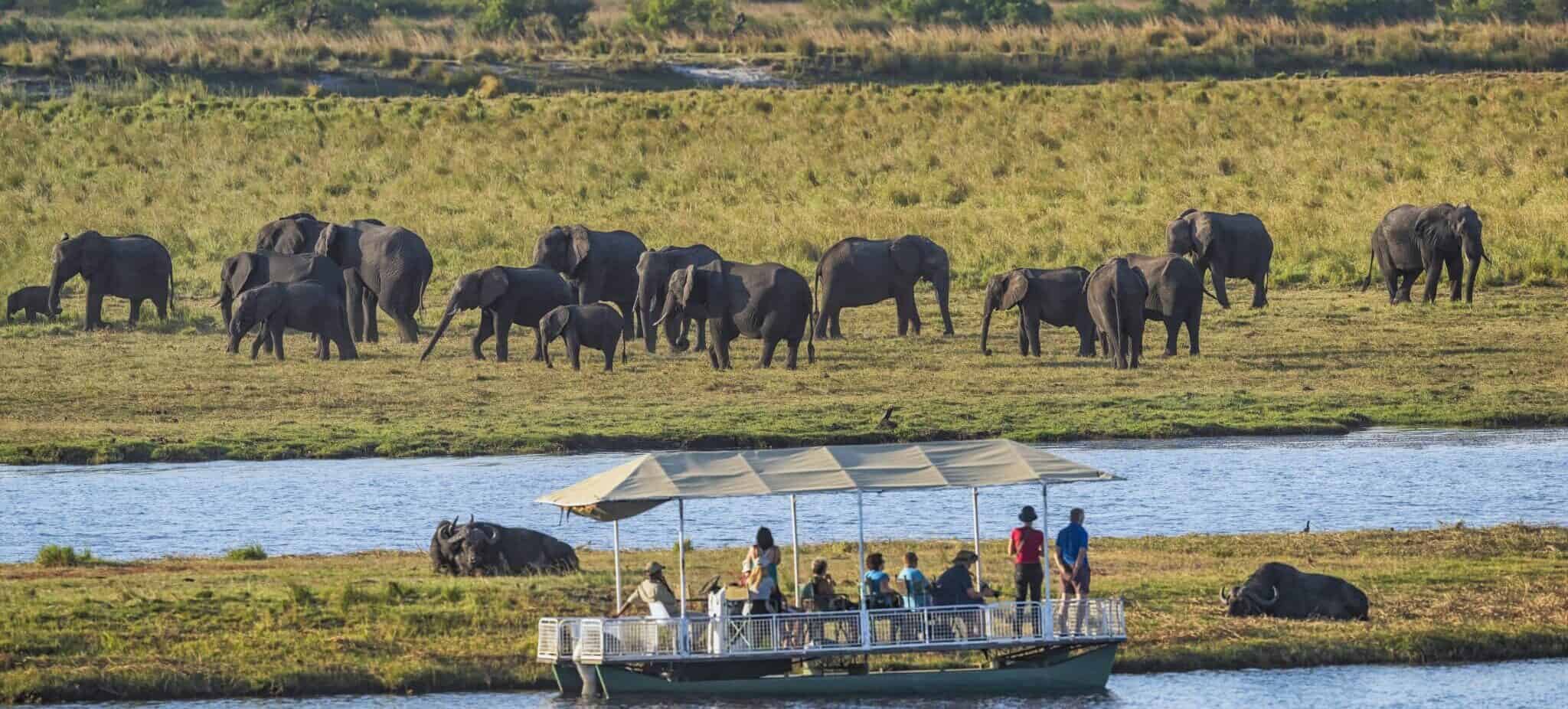 Chobe National Park and Savuti Marsh – Discover Africa