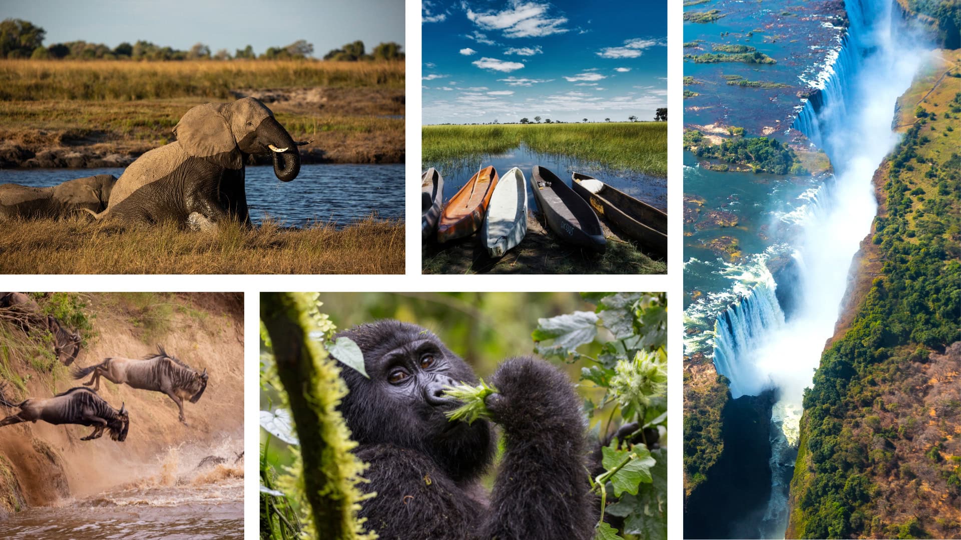 Best Time to Go on an African Safari (Month-by-Month) – Discover Africa