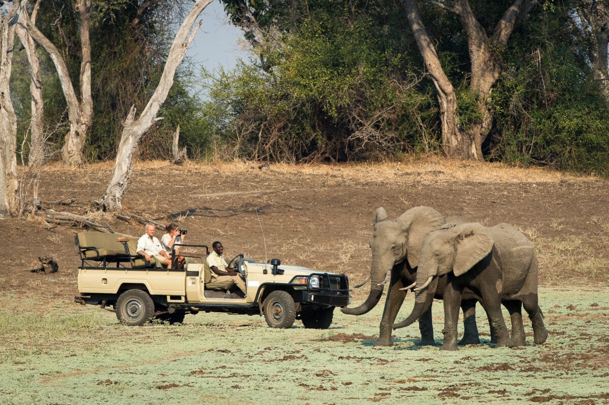 South Africa's Top National Parks, as Rated by Safari Travellers