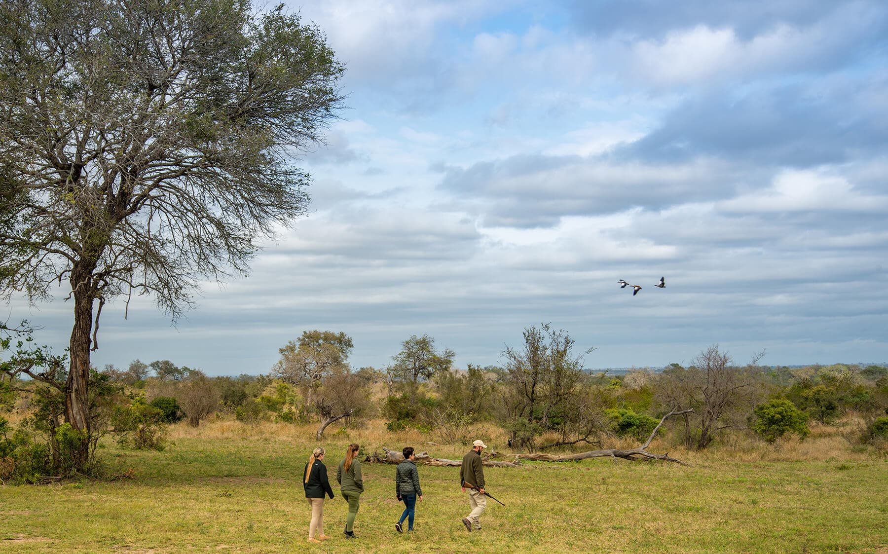 Sabi Sands and Kruger Safari (5 days) – Discover Africa