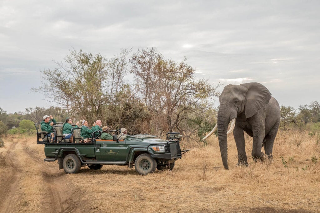 Everything You Need to Know About Eco-Tourism in South Africa ...