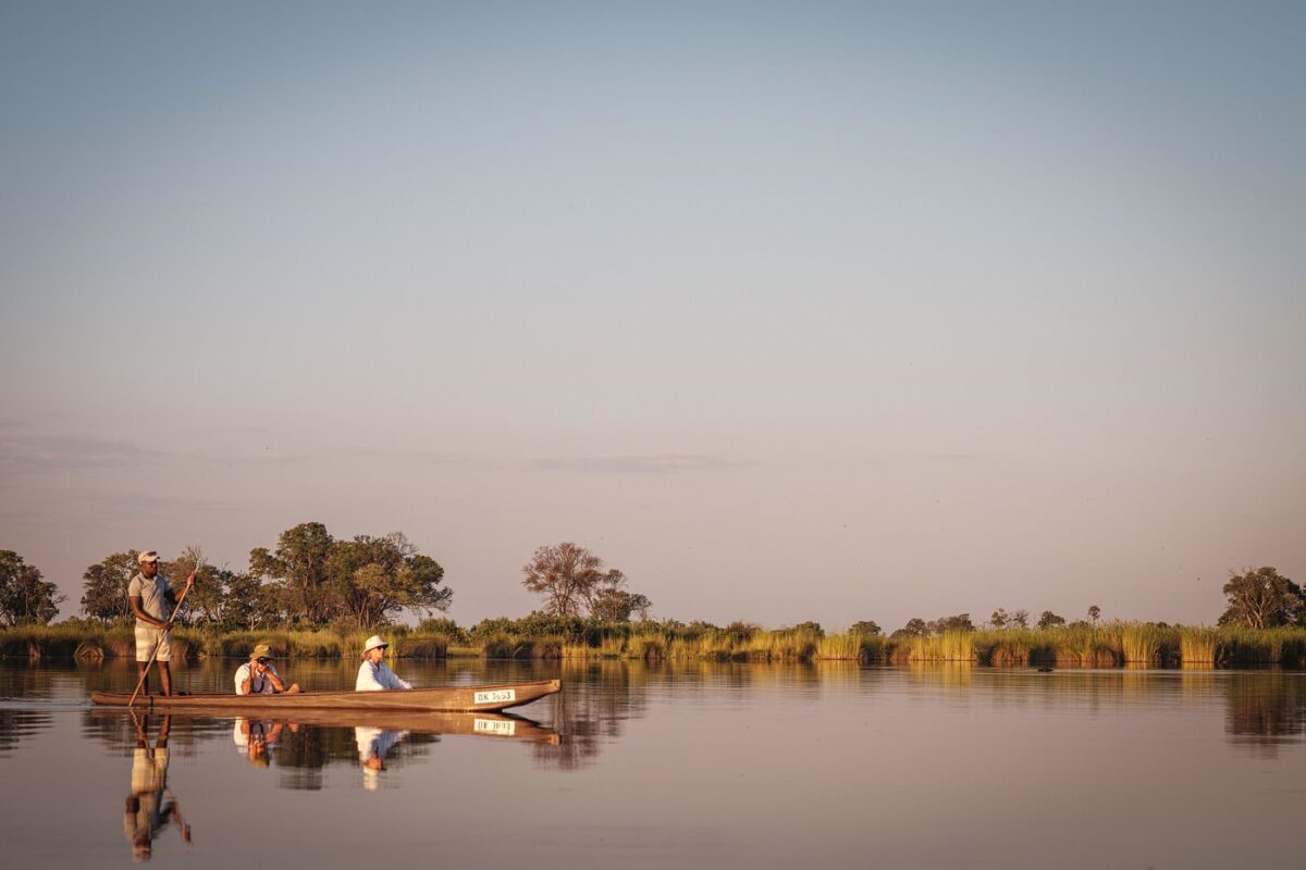 Cha Cha Metsi Cha Cha Metsi, Okavango Delta, Botswana – Discover Africa