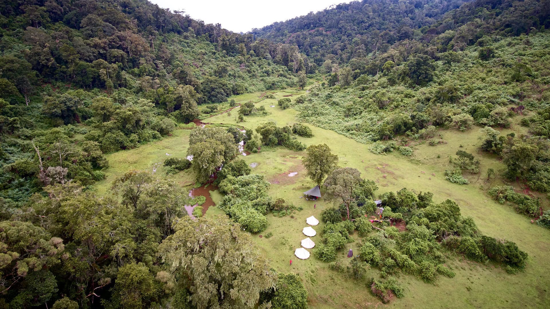 Maasai Trails – Discover Africa