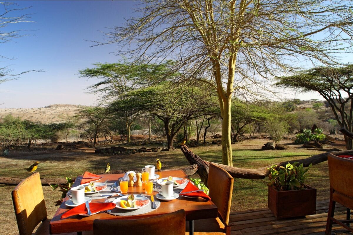 Elewana Lewa Safari Camp – Discover Africa
