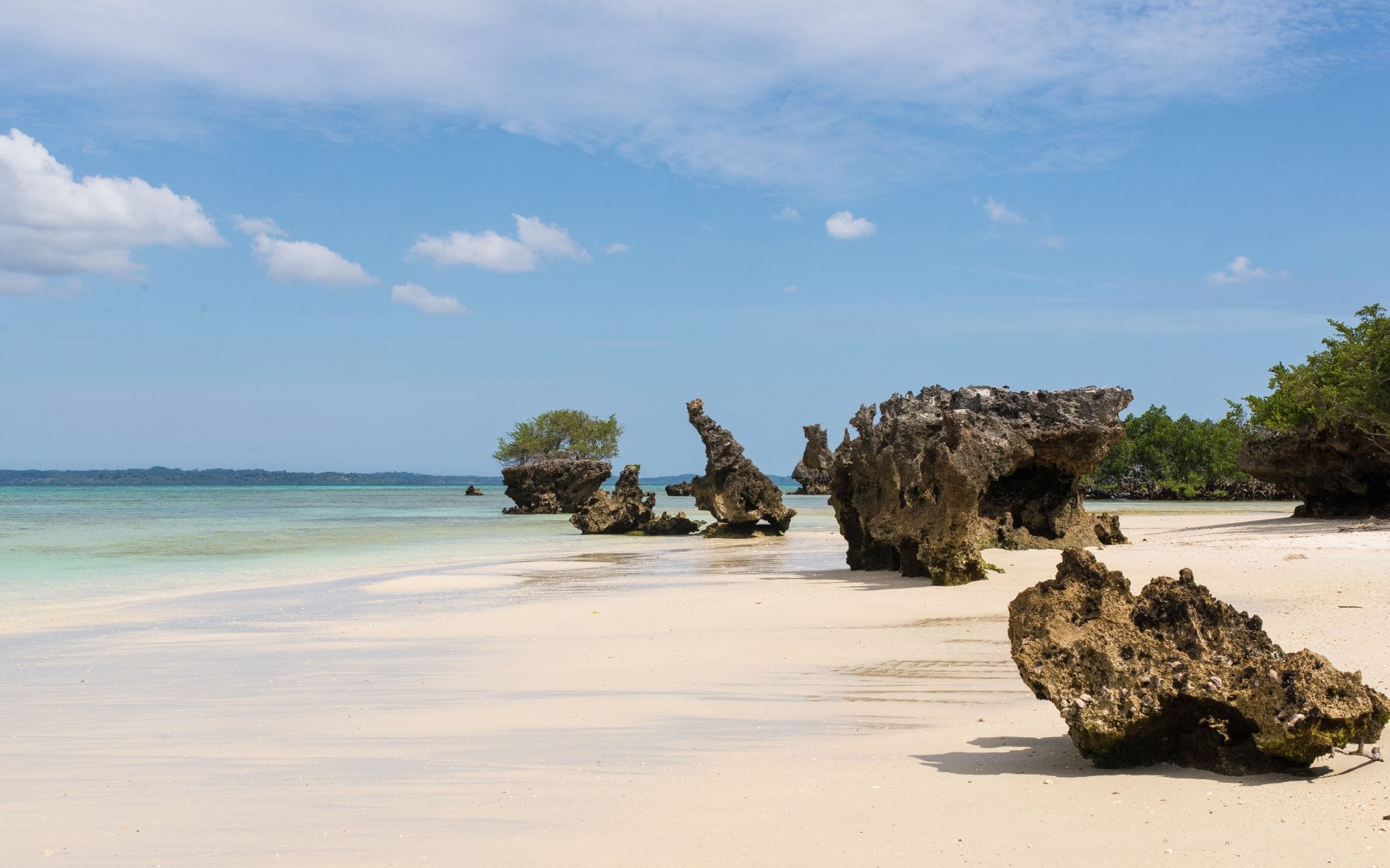 Pemba Island – Discover Africa