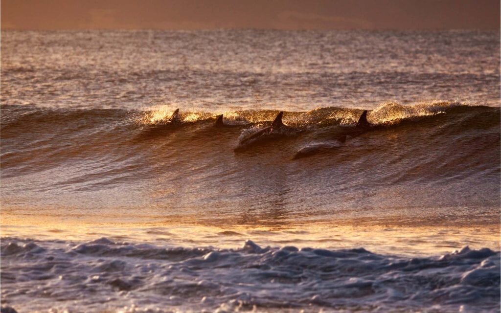 Mozambique Holiday Destinations: 5 of the Best Beaches in Mozambique ...