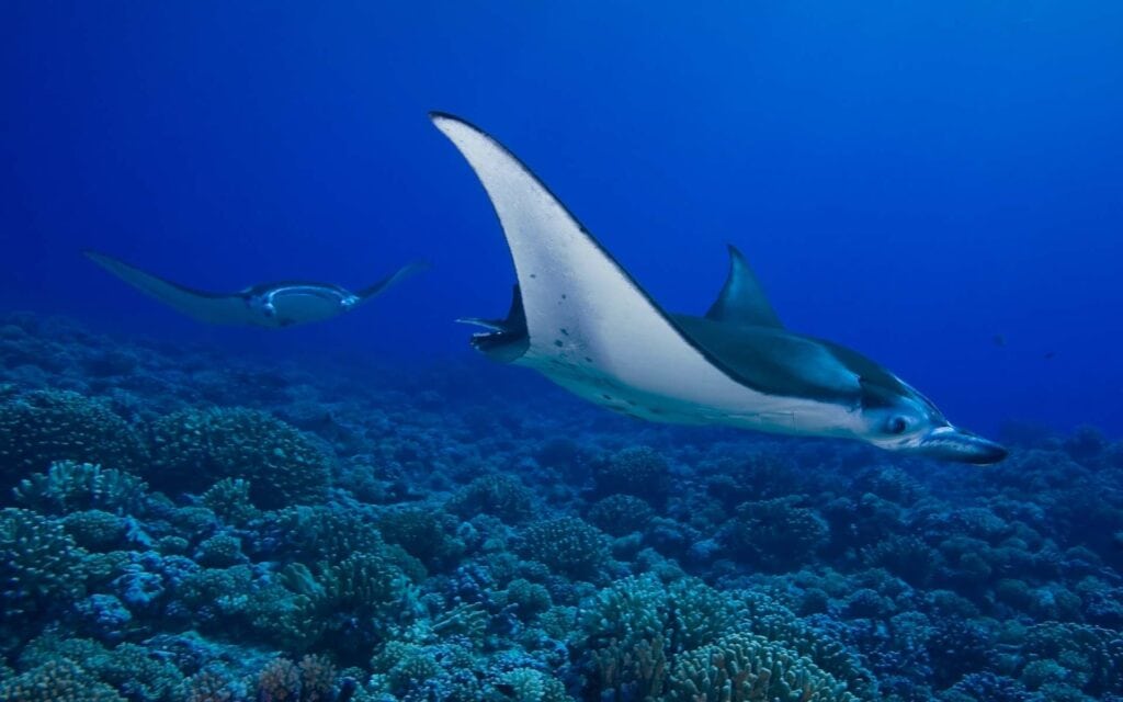 Mozambique Holiday Destinations: 5 of the Best Beaches in Mozambique ...