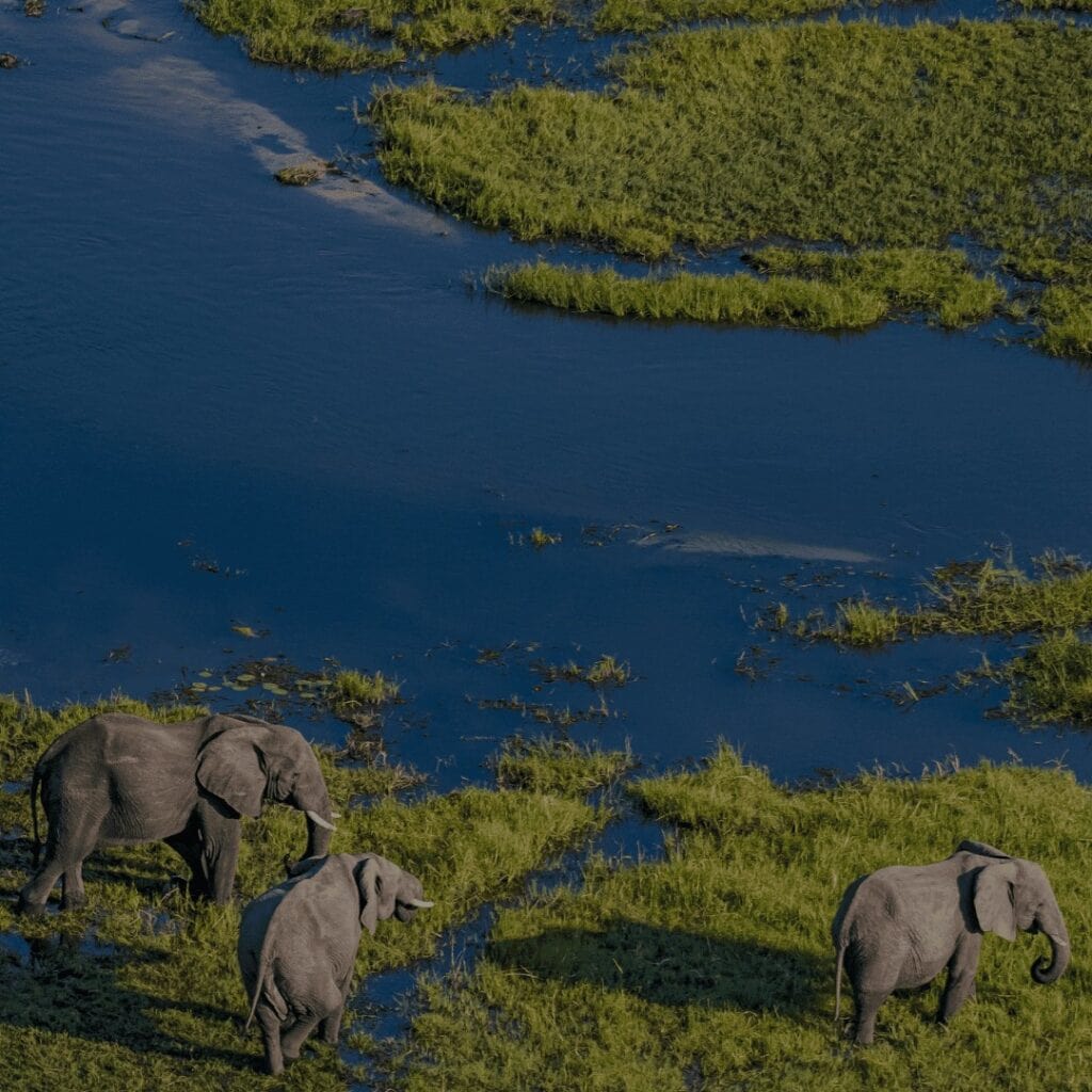 Is Botswana Safe? | Travel Advice | Discover Africa