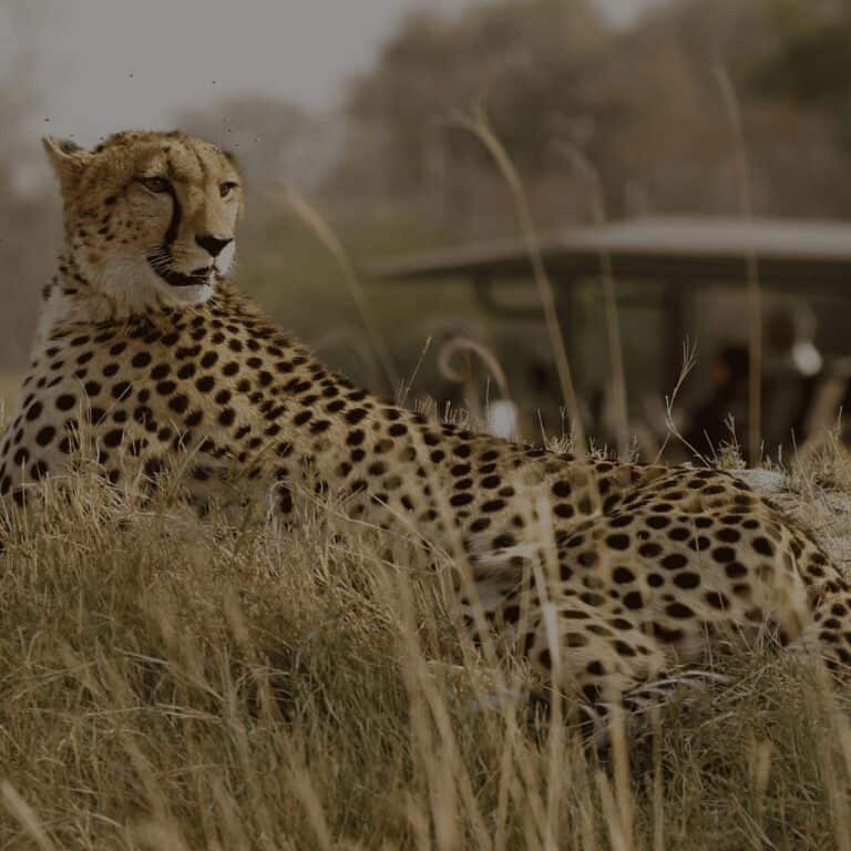 15 Interesting Facts About Namibia | Discover Africa