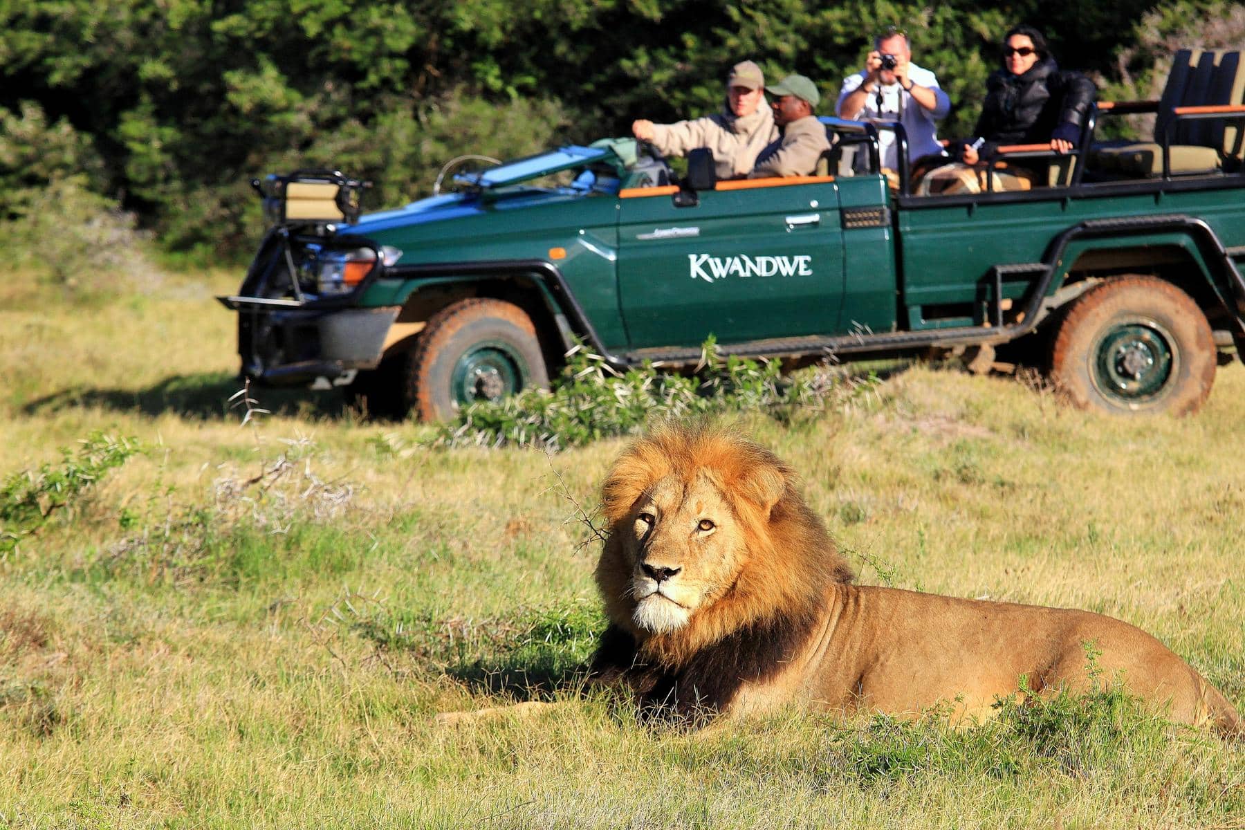Kwandwe Private Game Reserve – Discover Africa