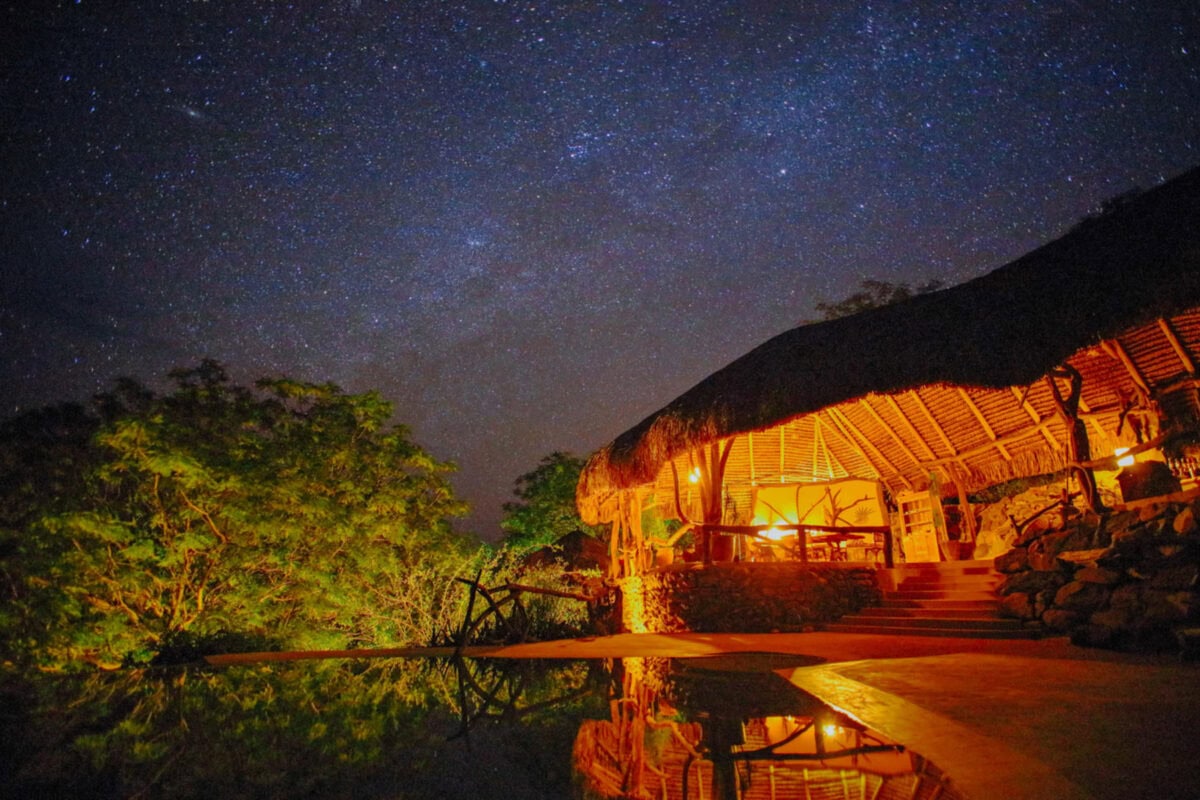 Sarara Tree | Discover Africa