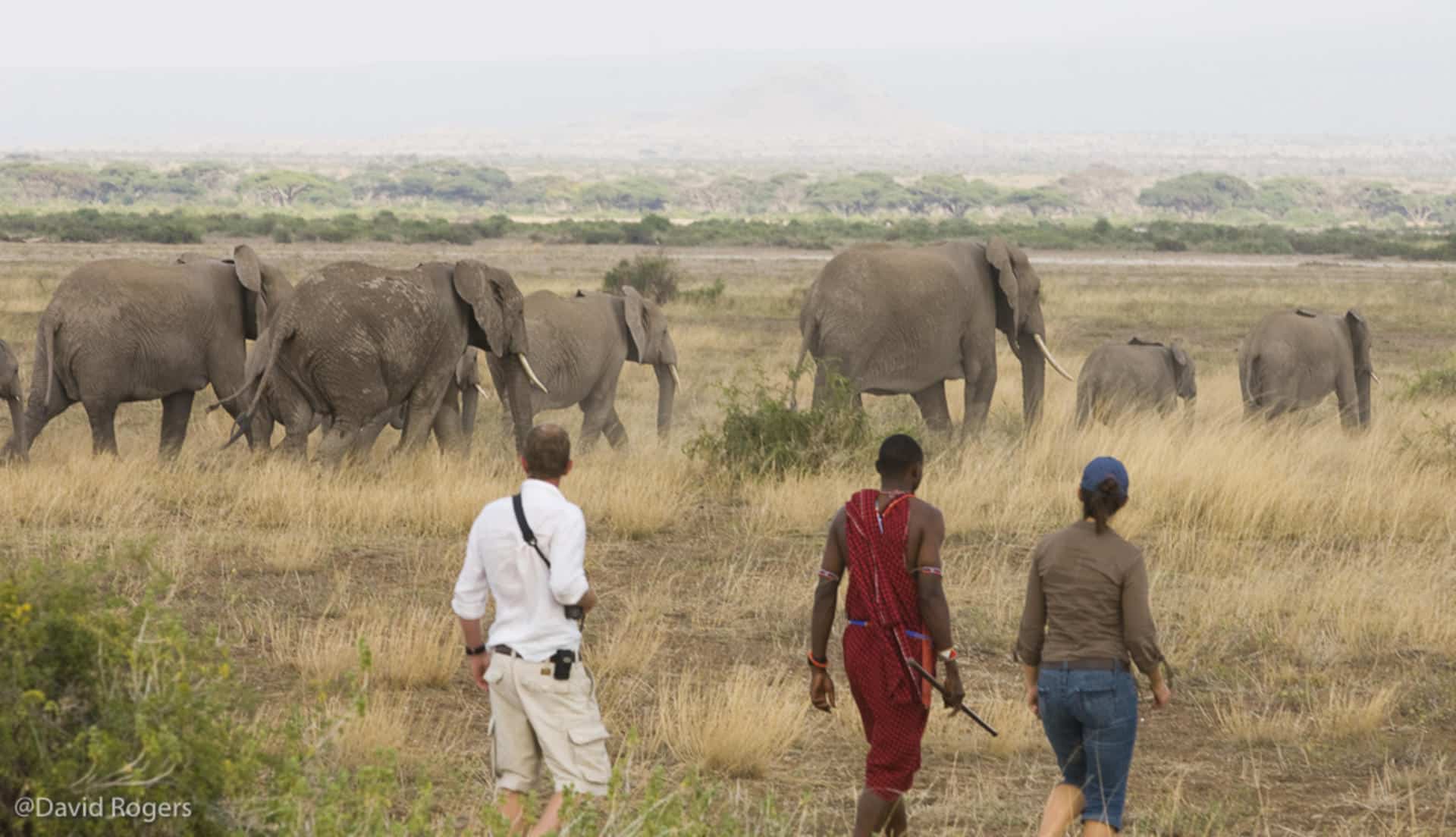 Review of Safari in East & Southern Africa – Discover Africa