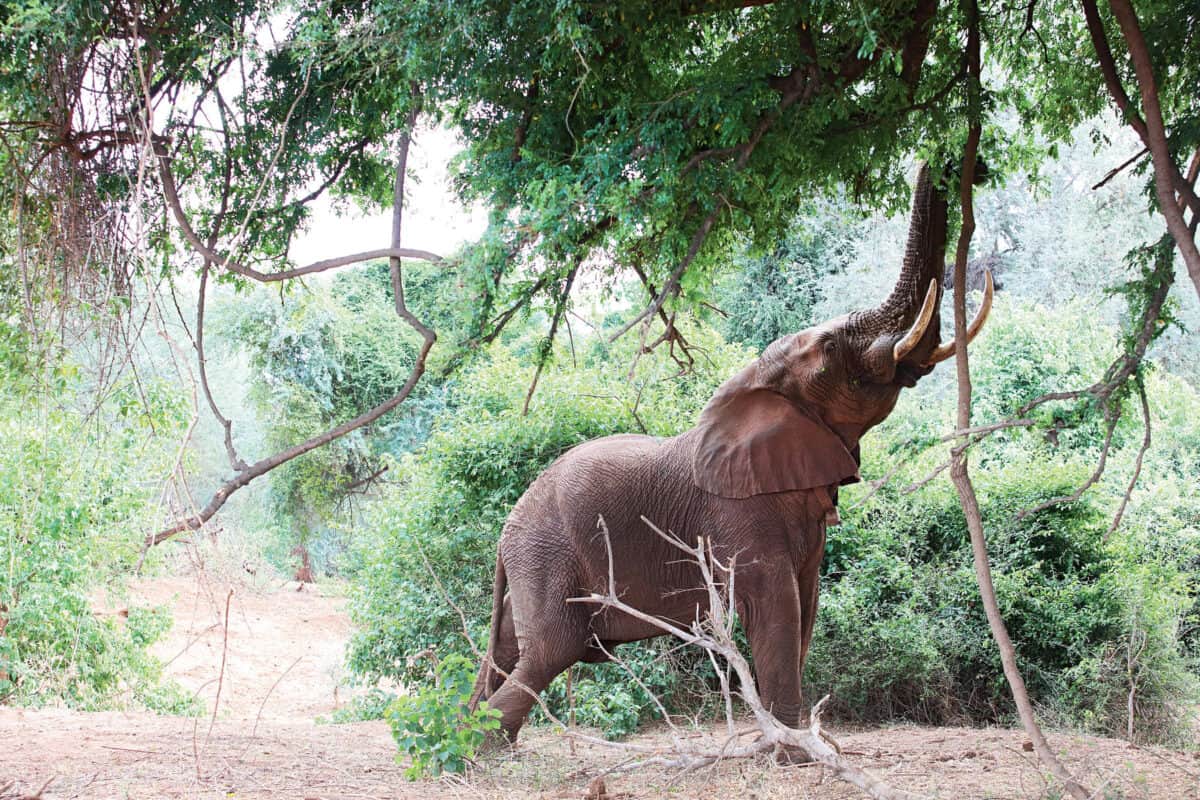 The Outpost – Discover Africa
