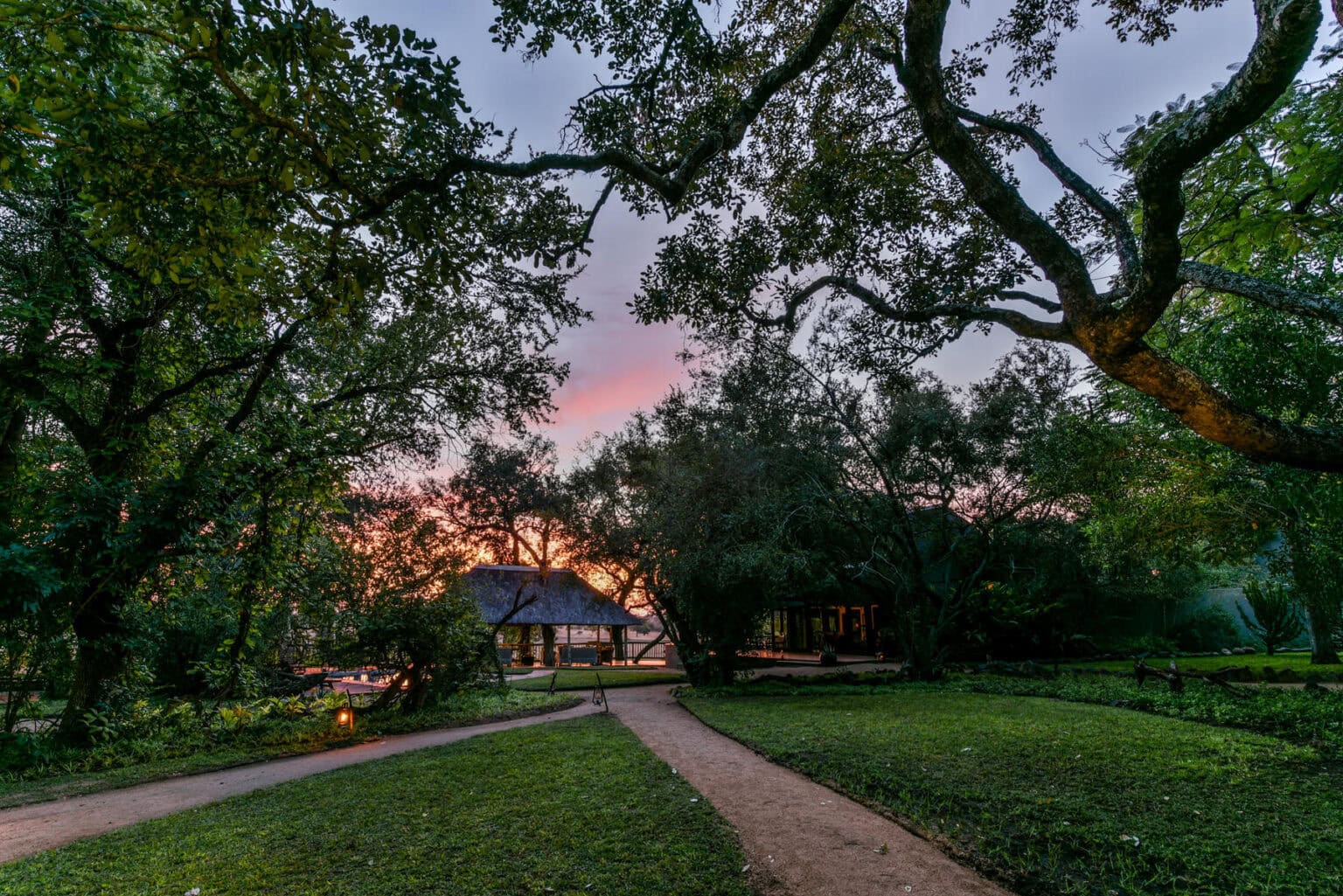 Sabi Sabi's Grand Expansion to Sandringham and Cape Town – Discover Africa