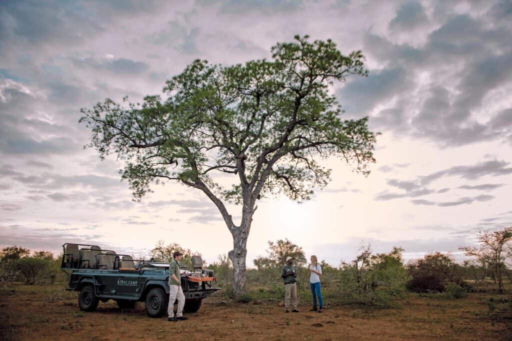 5 Of the Most Unique Plants In South Africa – Discover Africa