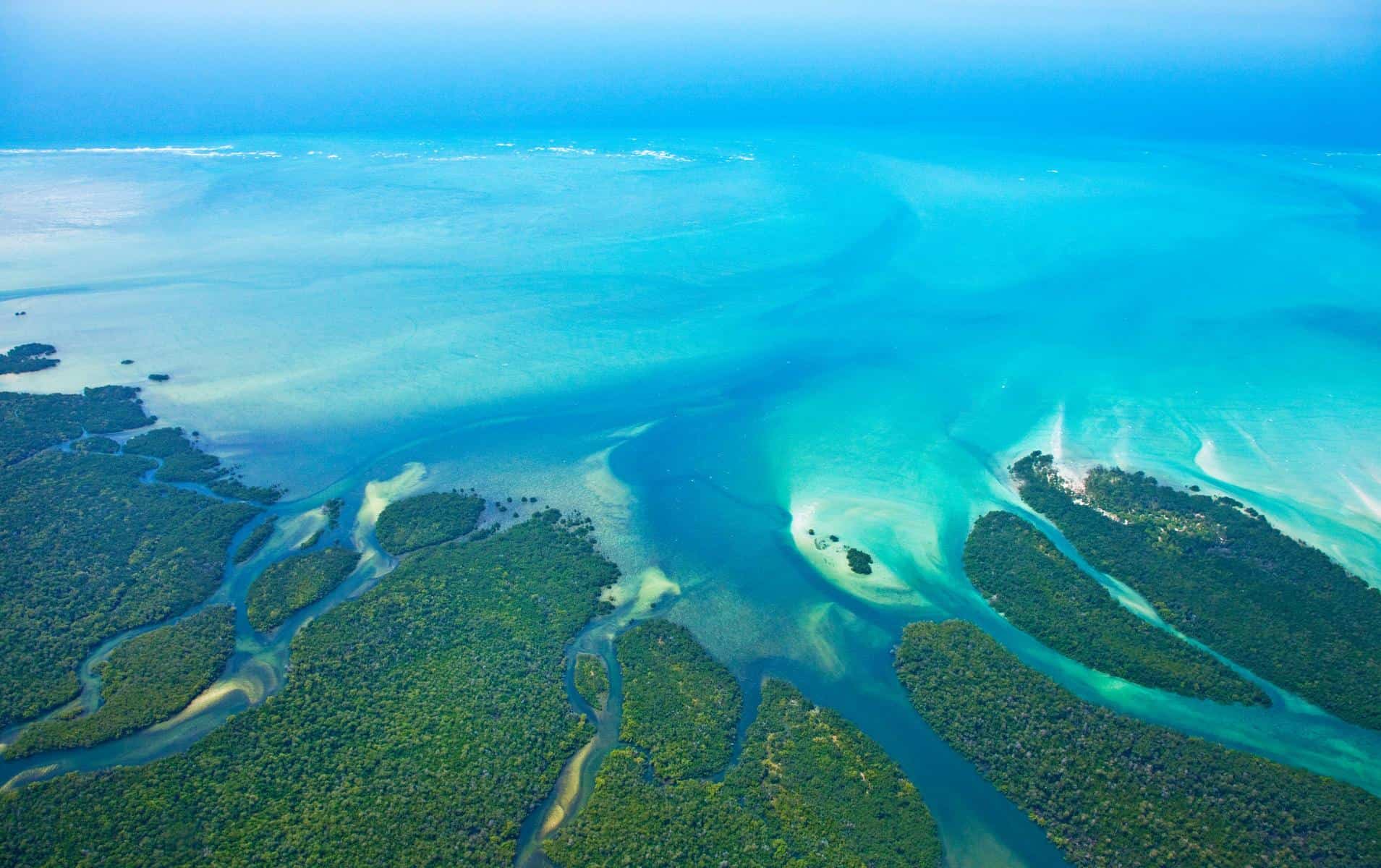 All You Need to Know About the Colorful Coral Reefs of East Africa ...
