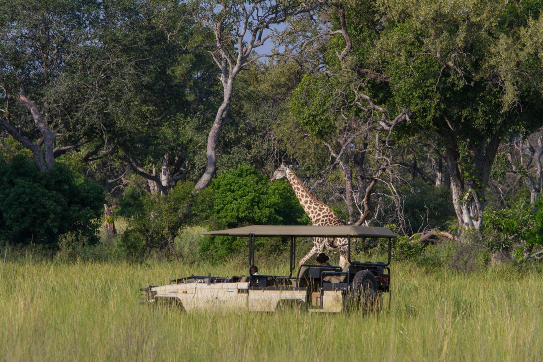 Shinde Footsteps Footsteps, Okavango Delta, Botswana | Discover Africa ...