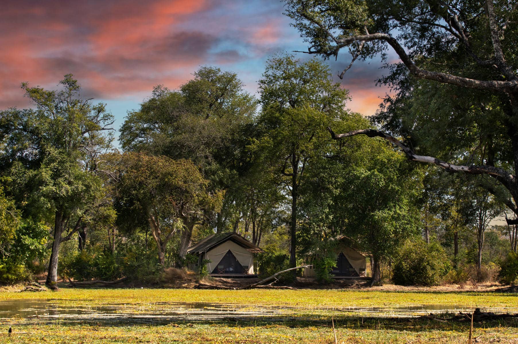 Ingwe Pan Ingwe Pan, Mana Pools National Park, Zimbabwe – Discover Africa