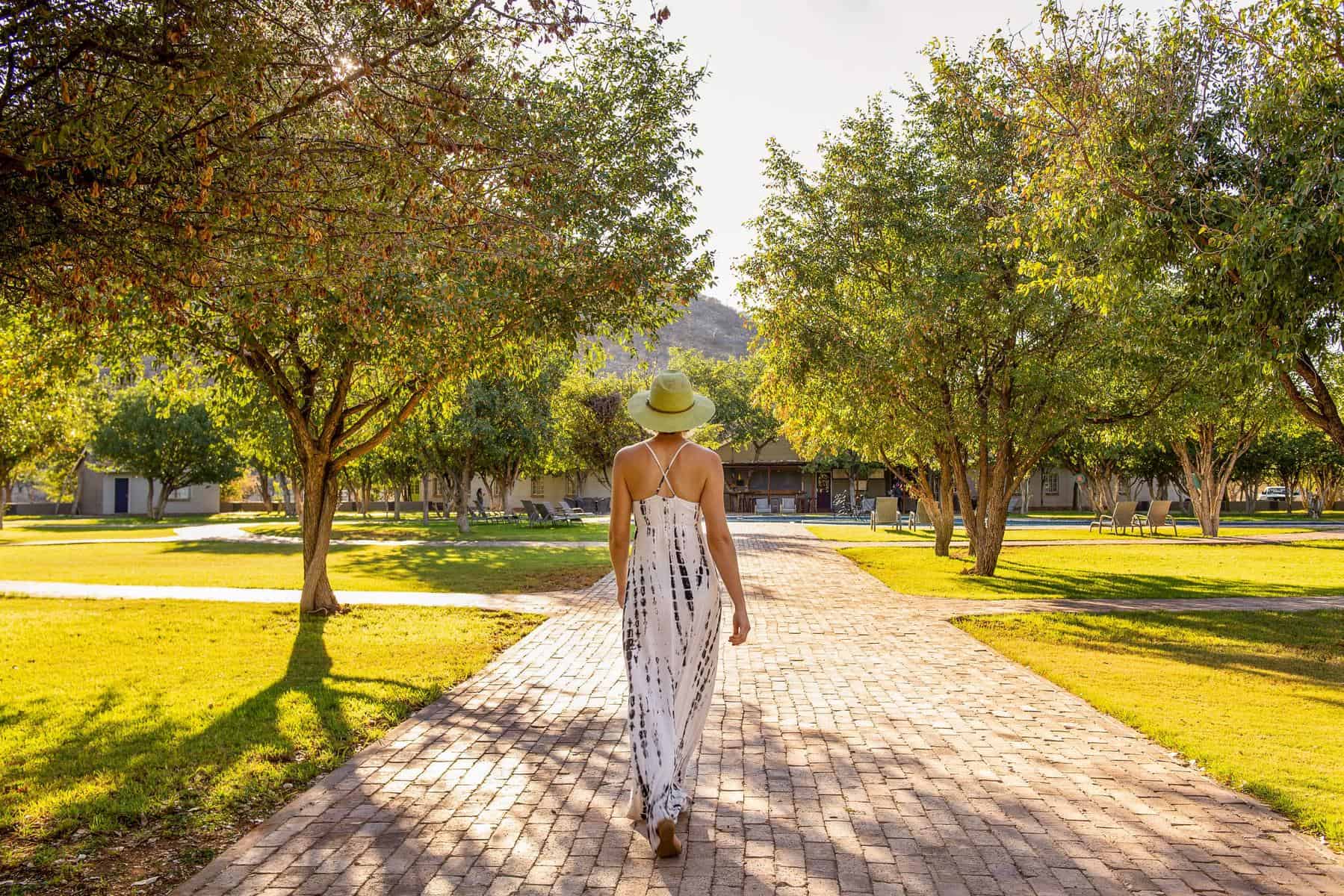 The Kings of the Beach: Namibia’s Skeleton Coast Lions – Discover Africa