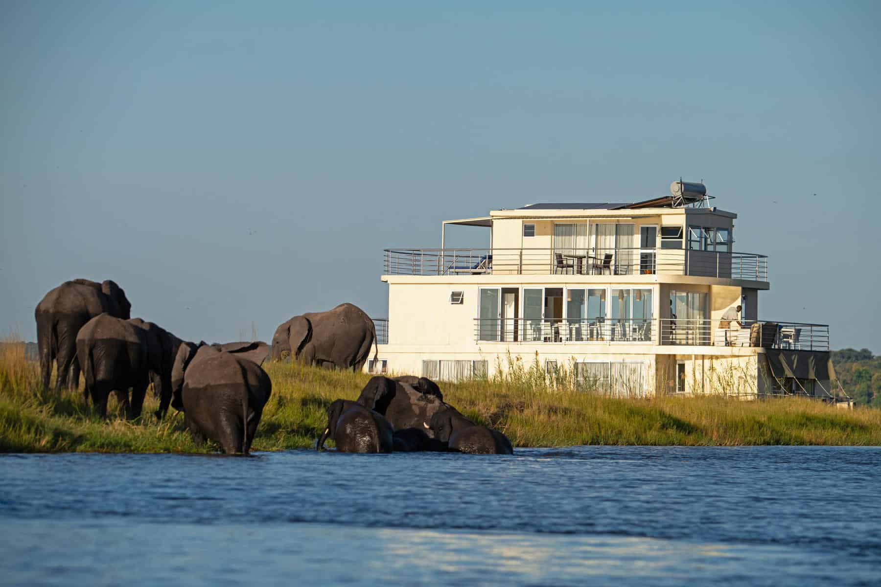 Chobe Princess Chobe Princess, Chobe River Front, Botswana – Discover ...