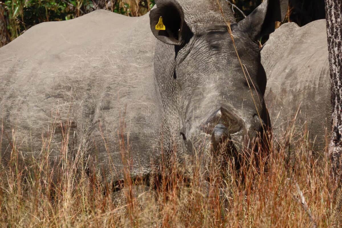 Shashani, Matobo Hills Shashani Matobo Hills Lodge, Matobo National ...