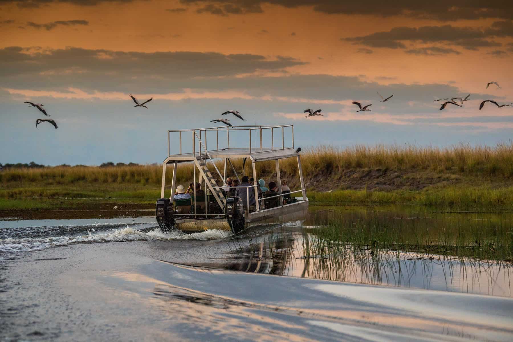 Chobe in January | Discover Africa Safaris