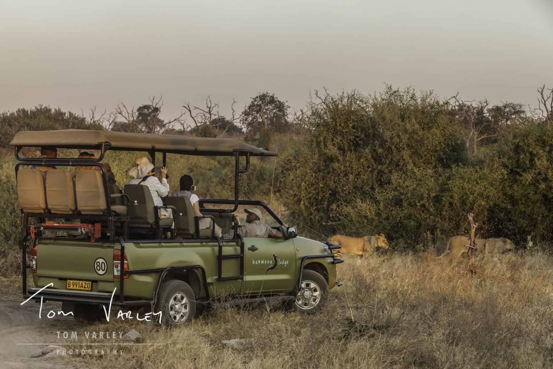 11 Day Botswana & Victoria Falls Wildlife Safari Review – Discover Africa