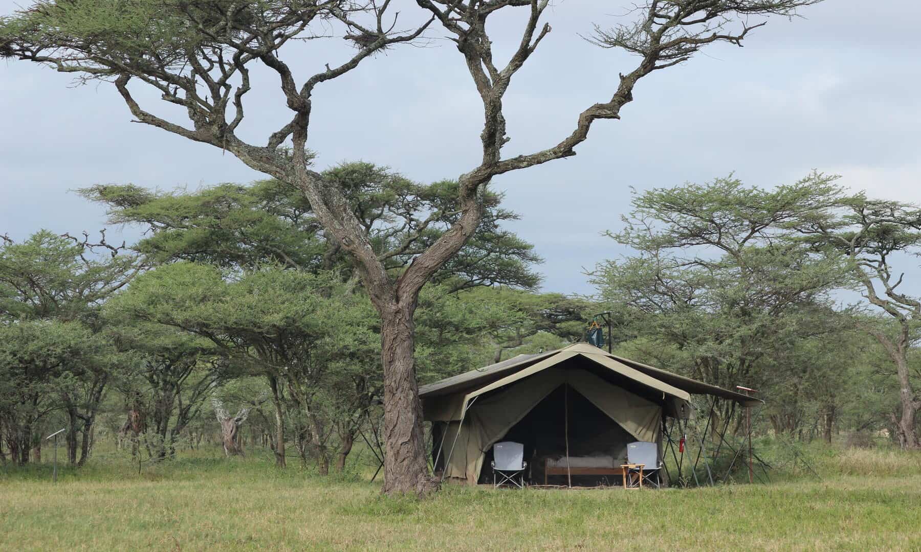 Ndutu Wilderness Camp Ndutu Wilderness Camp, Ndutu, Serengeti ...
