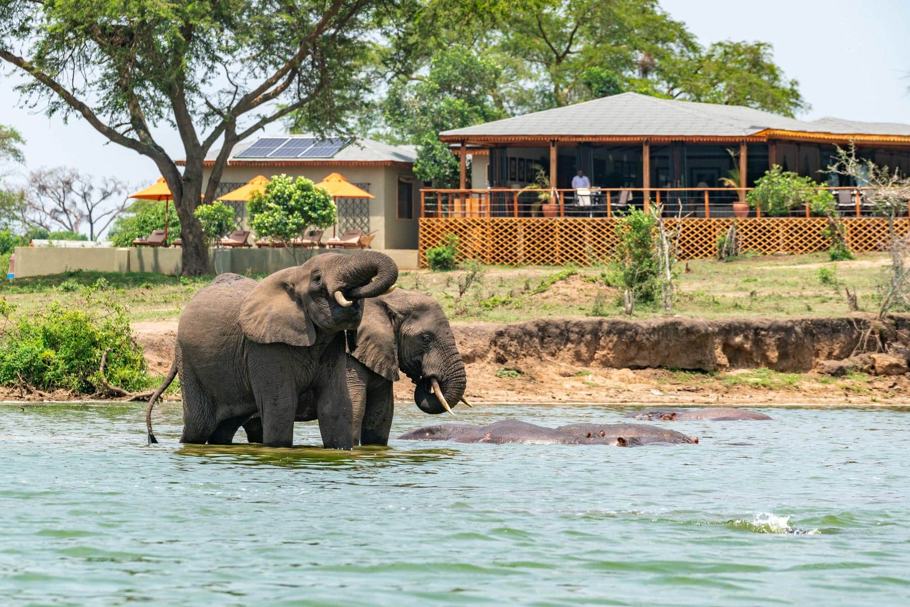 The River Station – Discover Africa