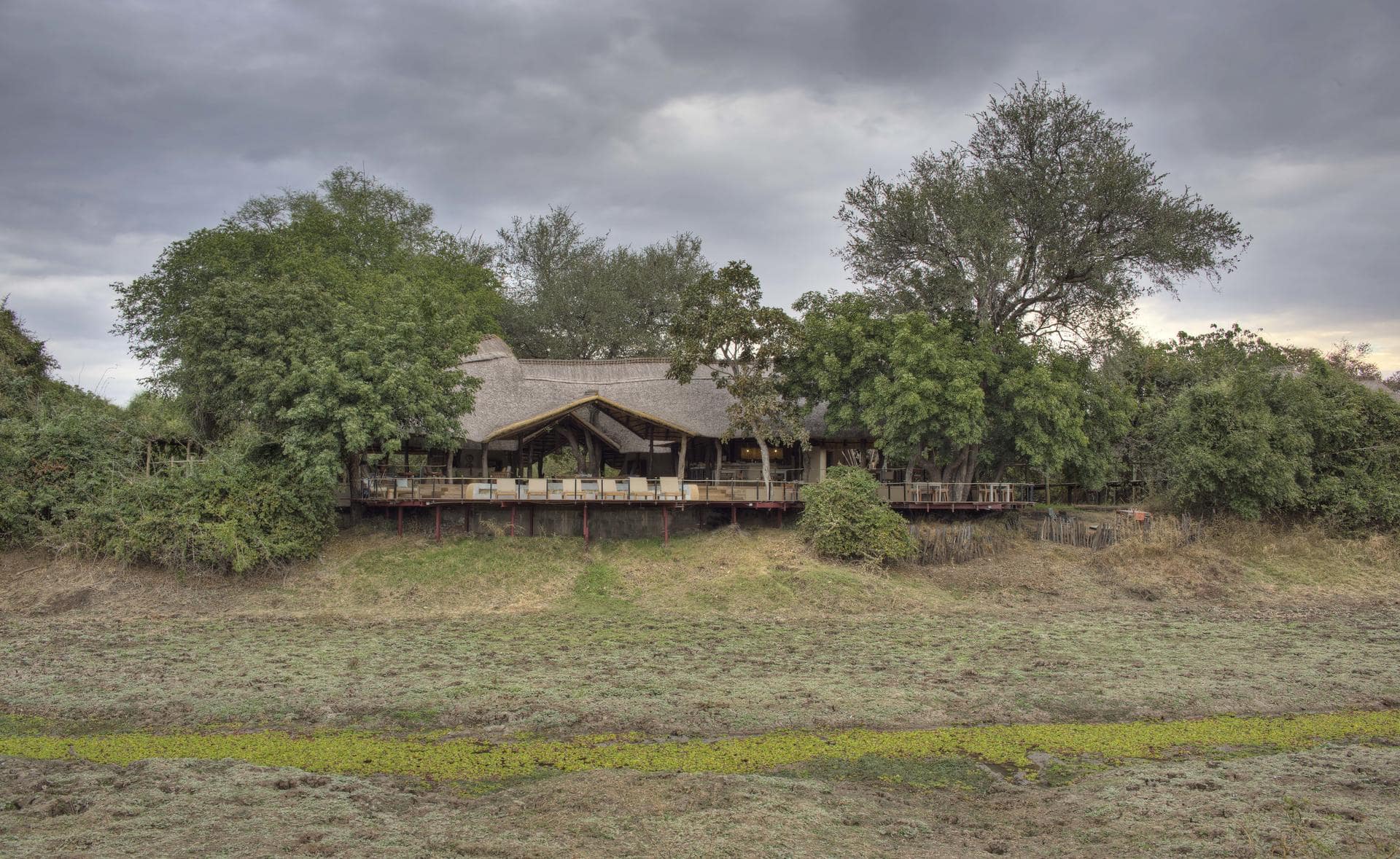 Lion Camp – Discover Africa