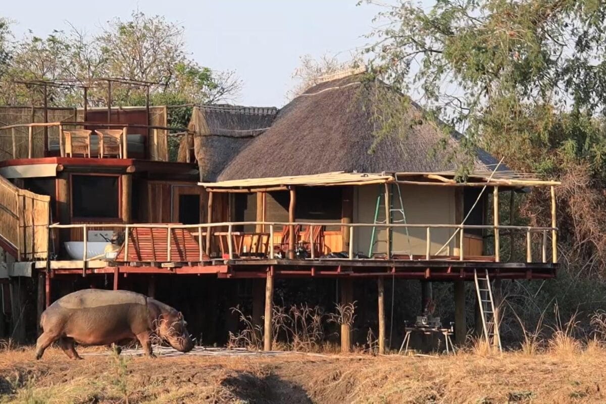 Lion Camp – Discover Africa