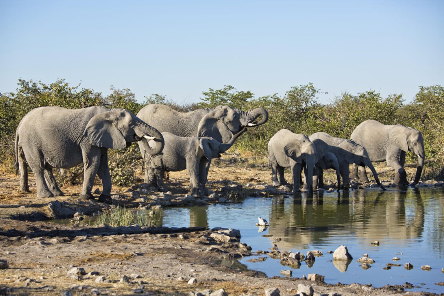 Namibia Wildlife Luxury Safari Tours| Discover Africa